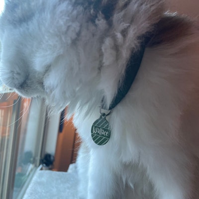 Faux Wood Pet ID Tag, Blue Dog Tag, Round Shaped Pet Tag, Dog Name Tag ...