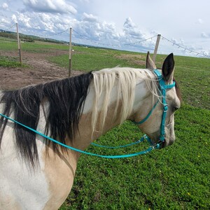ARAB Size AUSTRALIAN Aussie Barcoo Outrider BRIDLE Made | Etsy