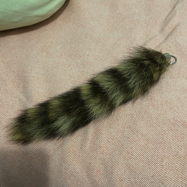 Raccoon Tails | Raccoon Tail Keychain | Taxidermy Keychain | Raccoon ...