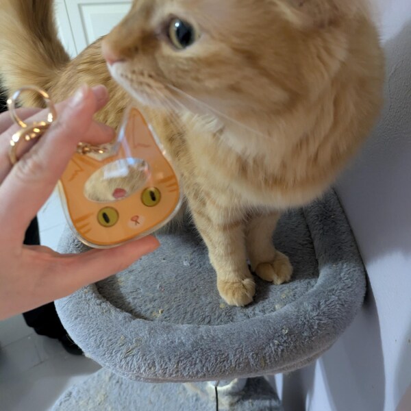 Biting Kitty Clips - Cat Journaling Clips - Cat Chip Clips - MAGNET ...