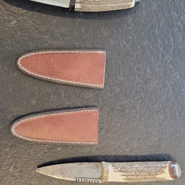 Huge Set 14 Point Imperial Deer Antlers - Etsy