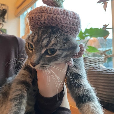 Crochet Cat Hat Pattern Beret - Etsy