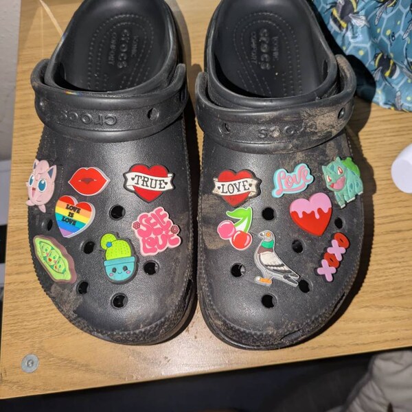 Capybara Clog Accessory - Capybara Shoe Charm - Carpincho Clog Clips ...