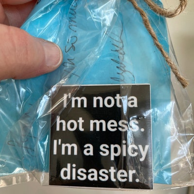 Funny Magnet Retro Humor Magnet Sarcastic Magnet Funny Fridge Magnet ...