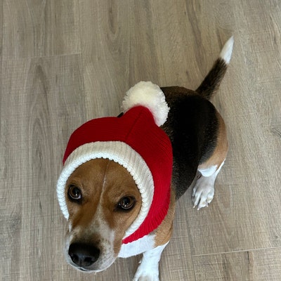 Red Christmas Knitted Hat / Beanie for Cat or Dog, Small and Large ...