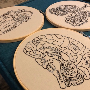 DIY Brain Embroidery Pattern, Brain Anatomy Embroidery Pattern ...