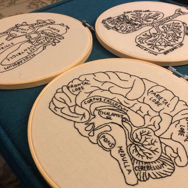DIY Brain Embroidery Pattern, Brain Anatomy Embroidery Pattern ...