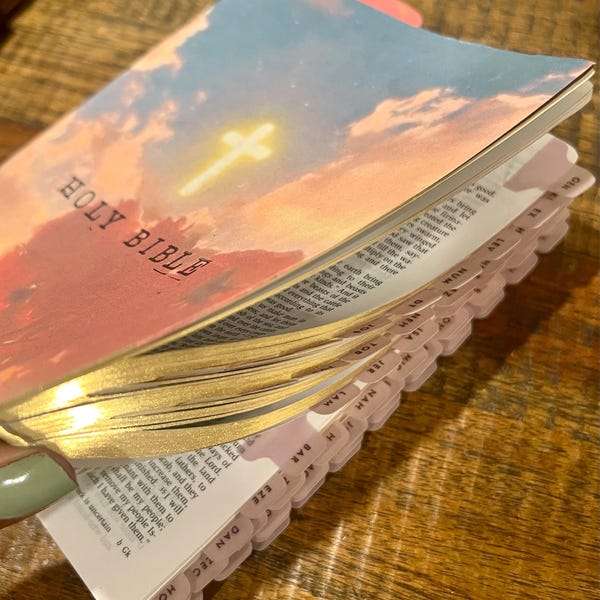 MINI Catholic Minimalist Bible Tabs | Vellum | Beautiful, Simple Cute ...