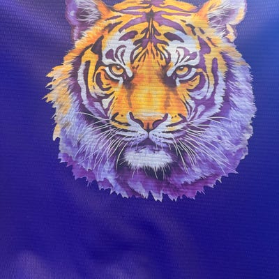 Tiger Sublimation Design PNG, Watercolor Tiger Download Digital Print ...