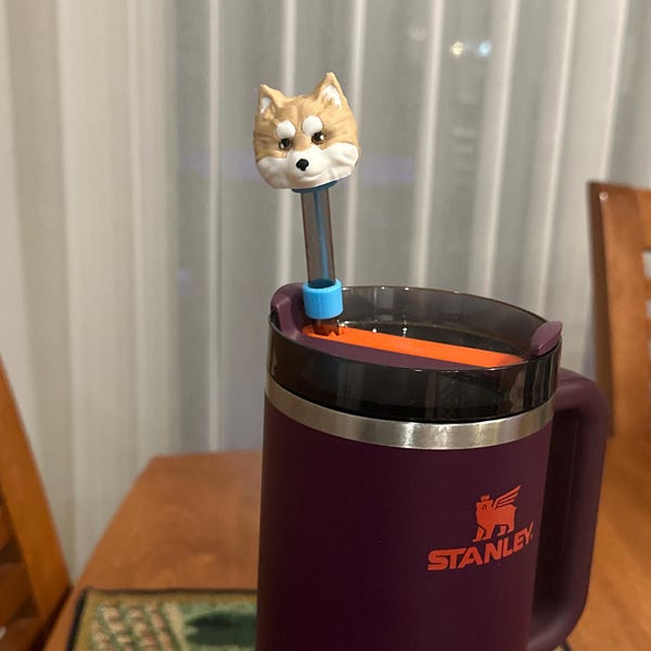 Wicked Dragon Straw Topper * Stanley 30 Oz or 40oz Straw Topper * Fits ...