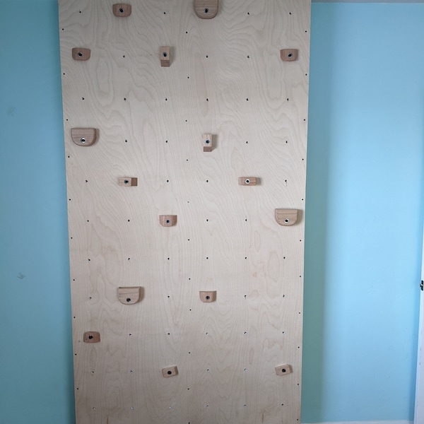 Jug Climbing Holds - Large, 4 Pieces, Screw in Climbing Holds for Rock ...