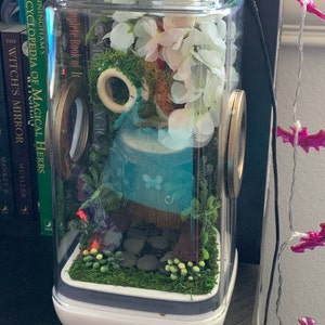 Mini Beach Scene in Clam Shell Mini Ocean Scene Sea Turtle - Etsy