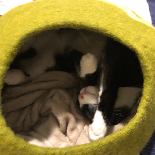 50cm Wool Felt Stripe Design Cat Bed, Handmade Wool Pet Bed, Round ...