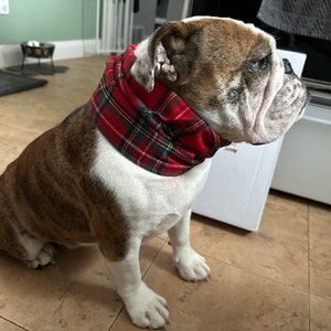 Canada Day Dog Bandana Canadian Puppy Scarf Embroidered Name - Etsy Canada