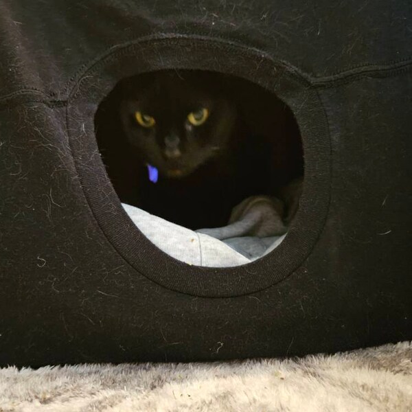 Josh Compass Necklace Viking Norse Rustic Manly Pendant Necklace ...