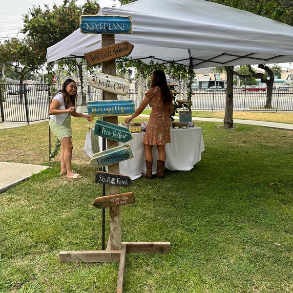 Peter Pan Inspired Single & Multi Pack Signpost Signs Neverland Lost ...