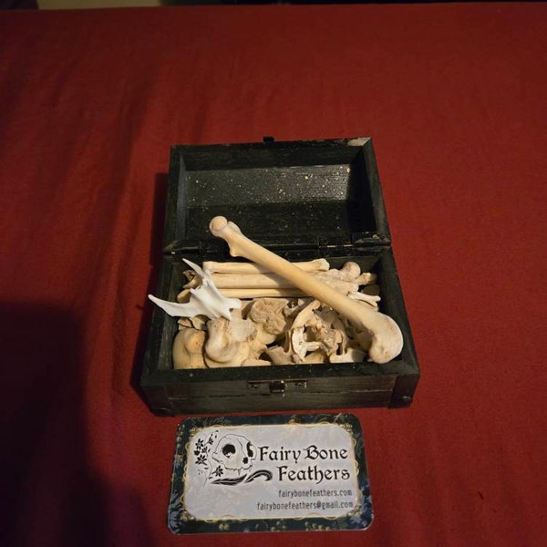Deer Jawbones and Vertebrae, Forest Witch Altar Art, Soft Feminine Bone ...