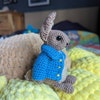 Large Peter Rabbit Crochet Pattern, Amigurumi Rabbit Pattern, Peter ...