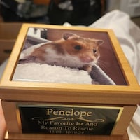 Bass Trophy Fishing Trophy Fishing Derby Tournament Trophy Award ...