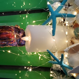 Conch Shell, Vintage Maps, Old Nautical Maps, Nautical, Coastal Home ...