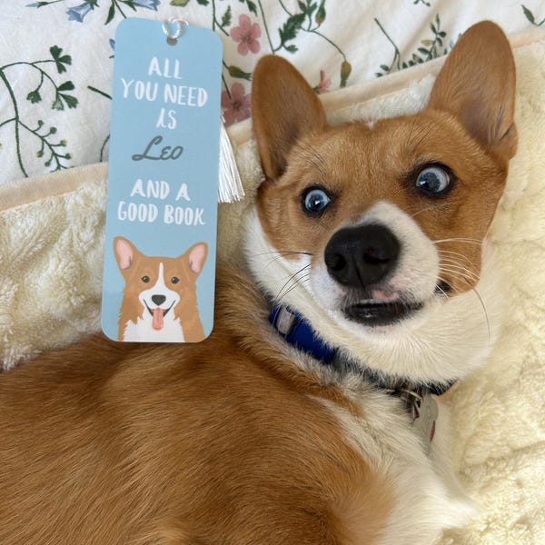 Custom Corgi Bookmark | Custom Pet Bookmark | Pet Bookmark | Dog ...