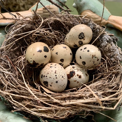 The Midnight Library Quote Sticker/ Matt Haig/ Meaning of Life - Etsy