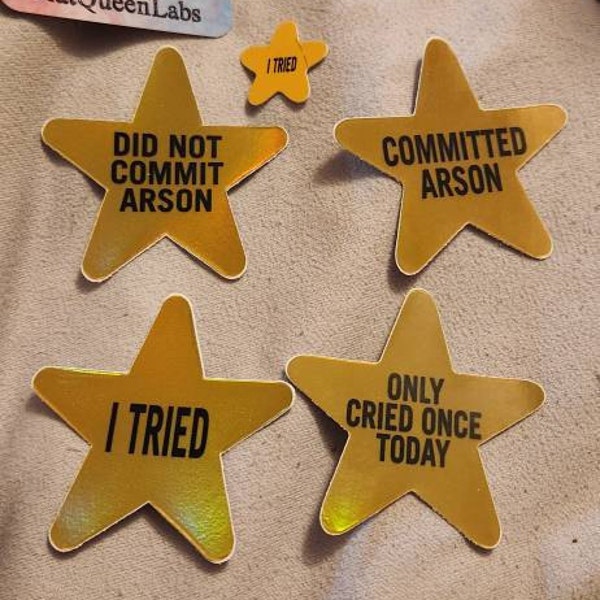 Gold Star Stickers, Holographic Stickers, Reward Stickers, Did Not ...