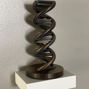 DNA Molecule Model DNA Helix DNA Decor Teacher Gift - Etsy