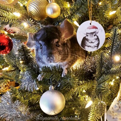 Artsy Chinchilla Porcelain Christmas Ornaments - Etsy