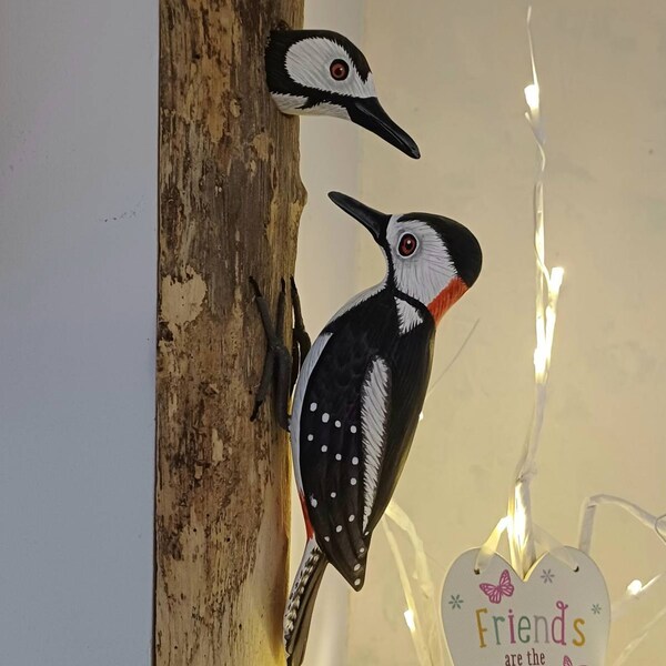 White Screw Shells 3-8cm Unicorn Horns Spiral Shell Beach Wedding ...