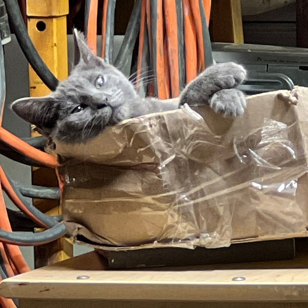 Multi-piece Bundle Wood Worktop Compatible With Milwaukee Packout by ...