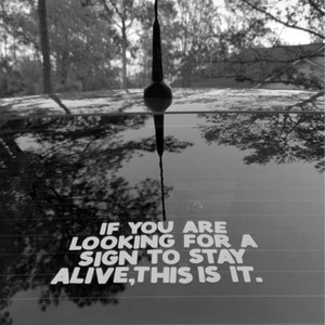 If You Are Looking for a Sign to Stay Alive This is It Decal / - Etsy