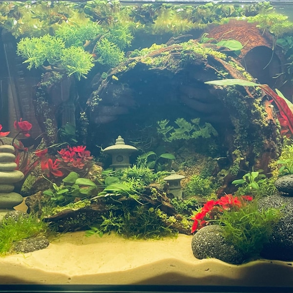 Handmade Aquarium Decorations for Freshwater & Saltwater Tanks - Etsy