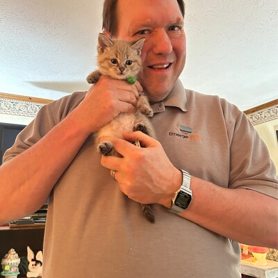 Gator Cat Collar Happy Alligators on Pink Breakaway Safety B96D30 - Etsy