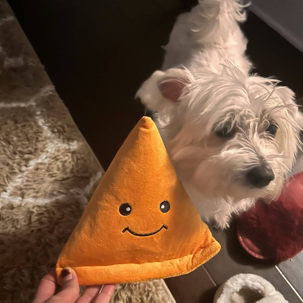 Samosa Plush Chew Toy for Pets - Etsy