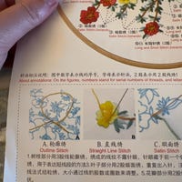 FREE Hand Embroidery Kit!flowers/animals/landscapes Embroidery Full Kit ...