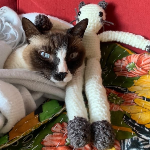 Customizable Crochet Guide: Margot the Cat (knit Sweater and Skeleton ...