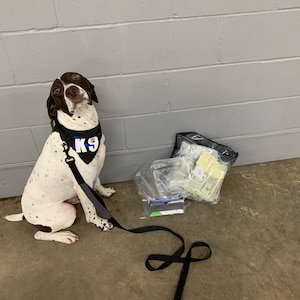 Bullet Casing Cutting Fixture Bullet Cutting Fixture Bullet | Etsy