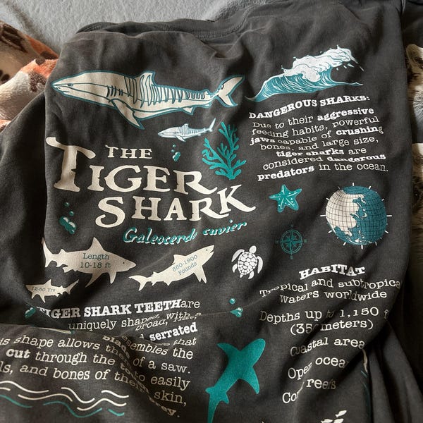 Underwater Sea Animal Vintage Hoodie Gift for Marine Biologist/ocean ...