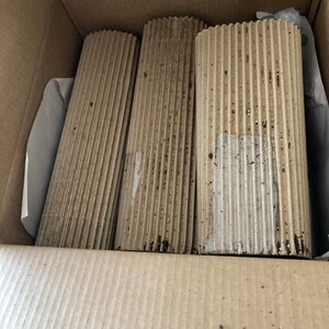 Rose Plant washitsu 和室 ジャパネスクモナムール - Etsy