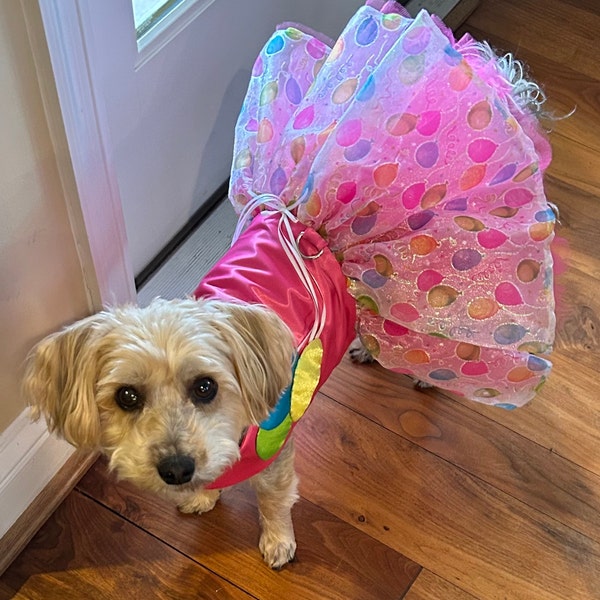 Dog Dress, Supergirl Dog Dress, Supergirl Dog Harness Dress, Supergirl ...