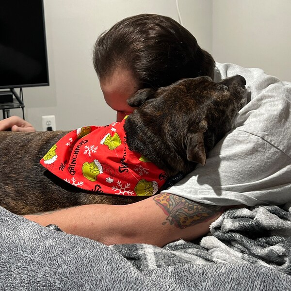 Over the Collar Reversible Dog Bandana Wisconsin Badgers, Milwaukee ...