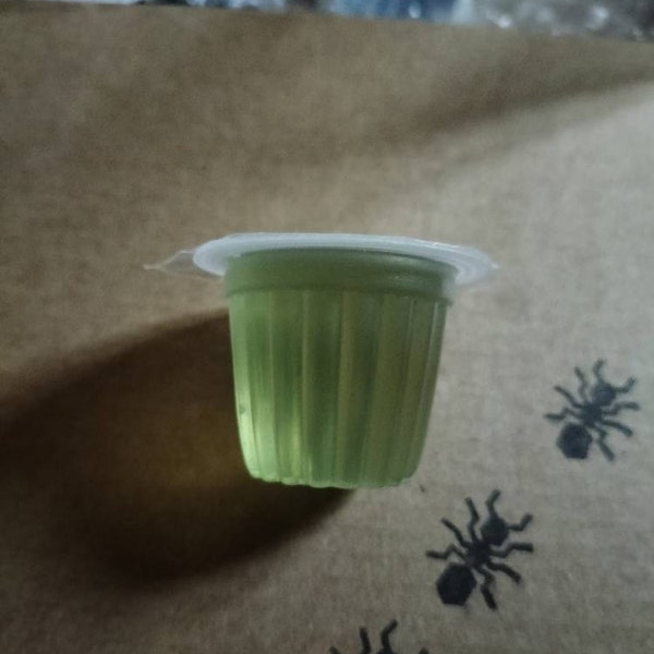 Protein and Sugar Jelly for Ants, Beetles and Other Pet Animals ...