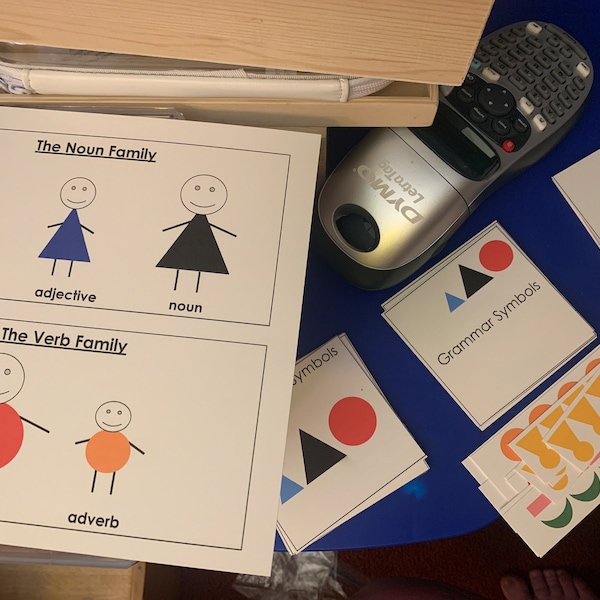 Seed and Plant Matching Cards - Montessori Botany Activity (digital ...