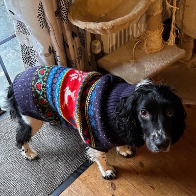 Matching Dog Family Christmas Jumper - Etsy