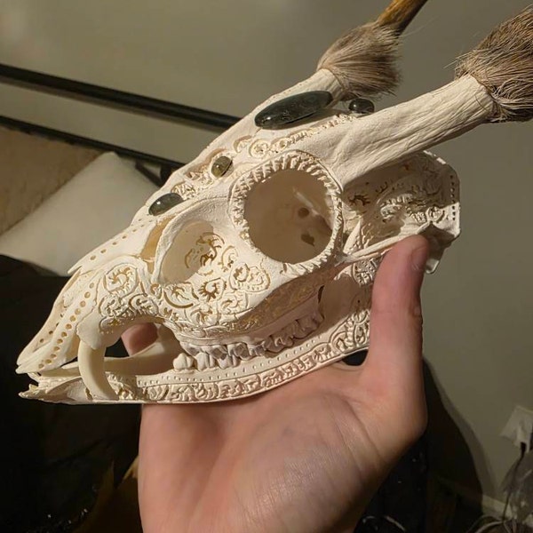 Huge Real European Deer Skull With Engraved Pentagram Wall Decoration ...