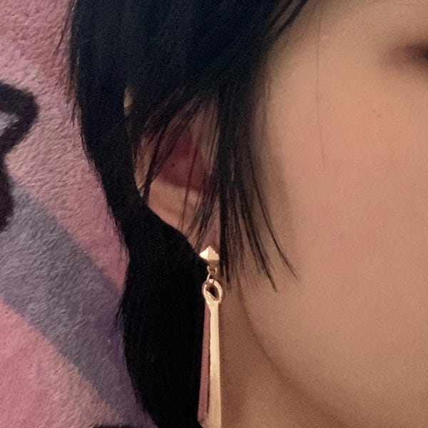 Honkai: Star Rail Concert 2024 Art Print Set Standee, Charm, Shaker ...