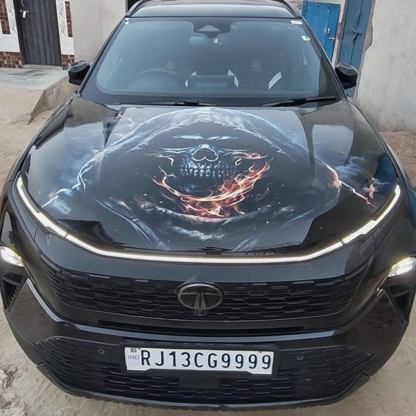 Redback Spider Car Hood Wrap, Car Hood Decal, Truck Hood Wrap, Car Hood ...