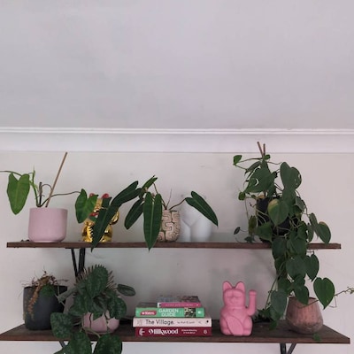 Diminuto Cielo. Lucky Cat Wellcome Manekineko Fortune Gift 3 Sizes L-M ...