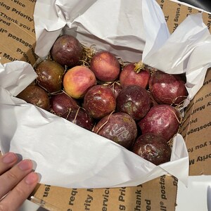 3LBS Okinawan Hawaiian Sweet Purple Potatoes - Etsy